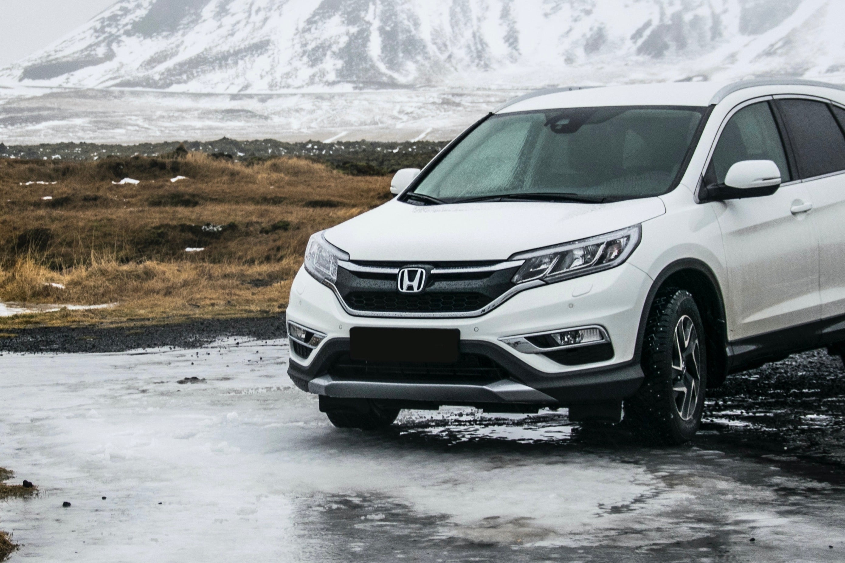 Pacer Dynamics | Your Canadian Automotive Parts Company